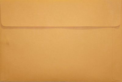 10 x 15 Document Envelope 40lb. 40lb. Brown Kraft | Envelopes.com